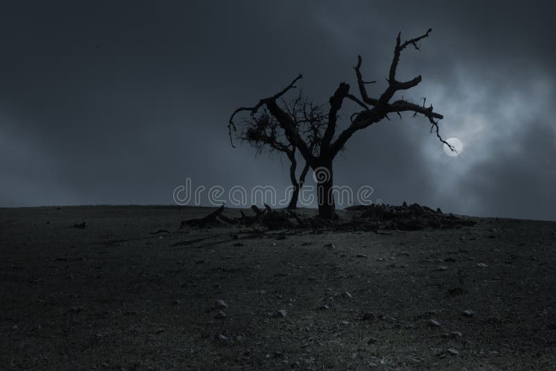 Spooky Halloween Background Stock Photos - Download 83,873 Royalty Free ...