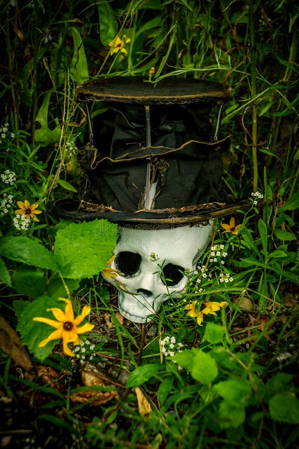 Scary Halloween Skull Top Hat Stock Photo - Image of high, spirits ...
