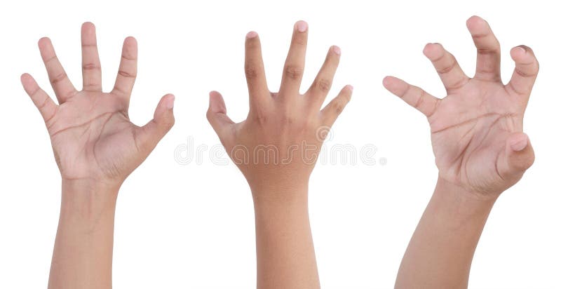 Scary Hand stock photo. Image of wicked, reaching, halloween - 13487484