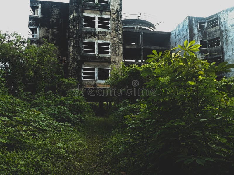 Scary haunted building stock image. Image of plant, house - 222664173