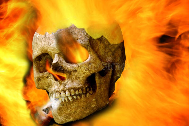 Scary Human Skull stock photo. Image of sapiens, health - 16674484