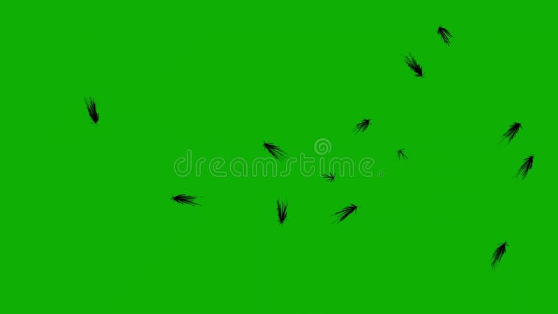 Scary Green Screen Stock Footage & Videos - 1,693 Stock Videos