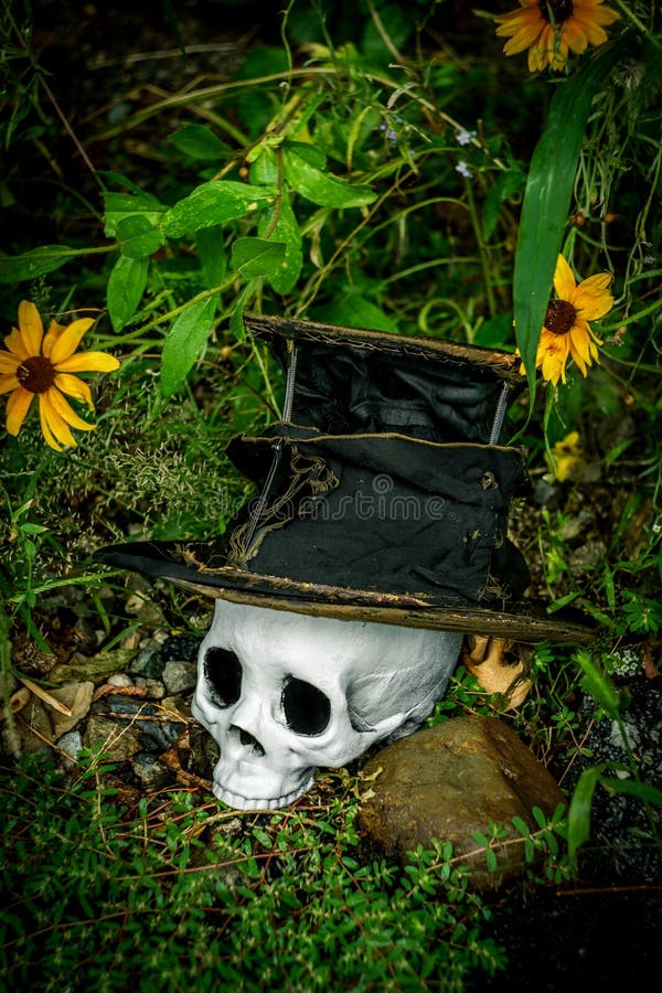 Scary Halloween Skull Top Hat Stock Image - Image of antique, spirits ...