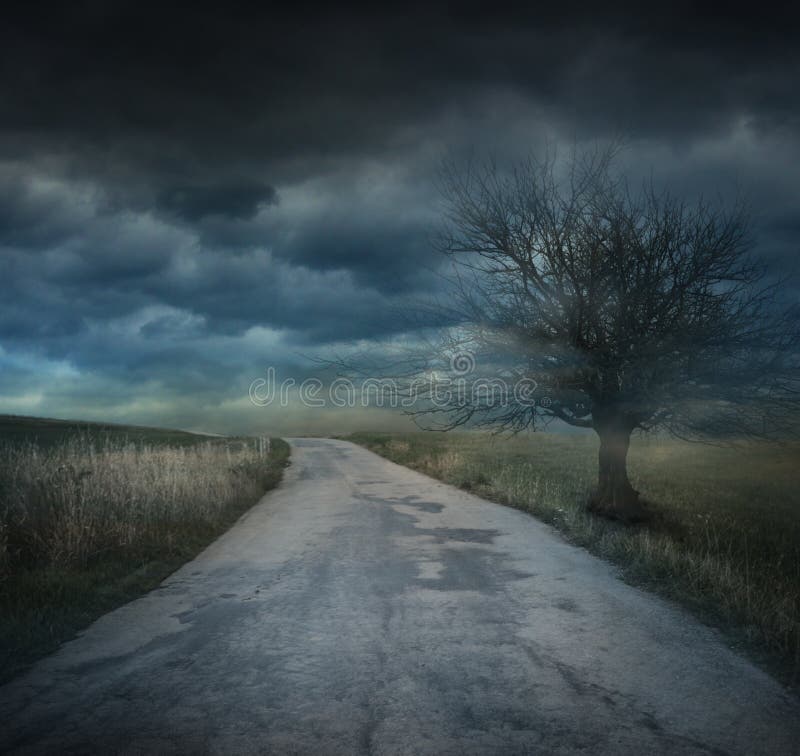 A scary landscape stock photo. Image of mysterious, mystery - 74564140