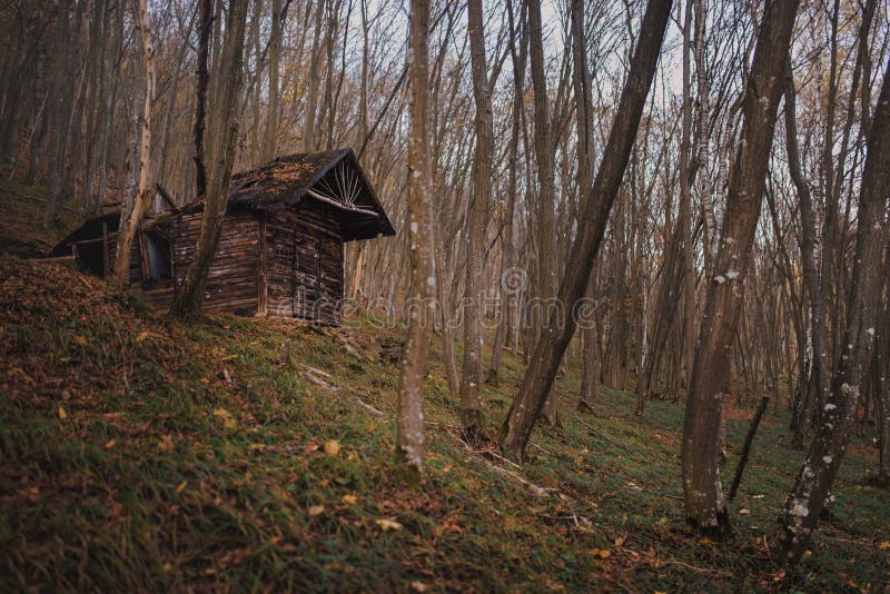635 Scary Shed Photos - Free & Royalty-Free Stock Photos from Dreamstime
