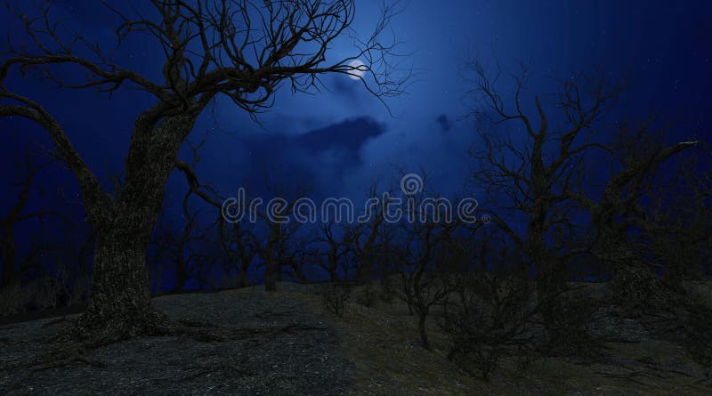 Scary Night Forest with a Full Moon 3d Illustration Stock Illustration ...