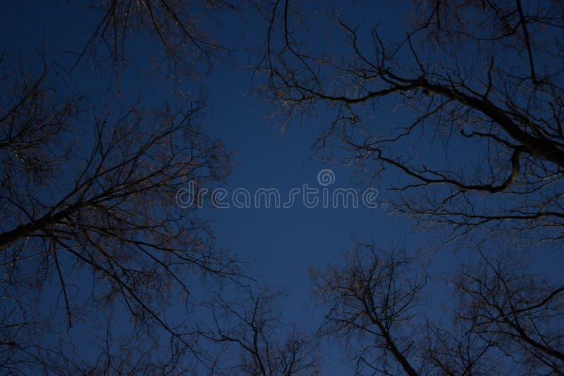 Scary night sky stock image. Image of distant, night - 118684471