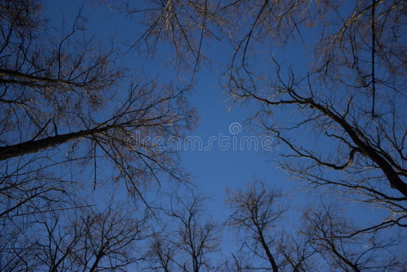 Scary night sky stock image. Image of distant, night - 118684471