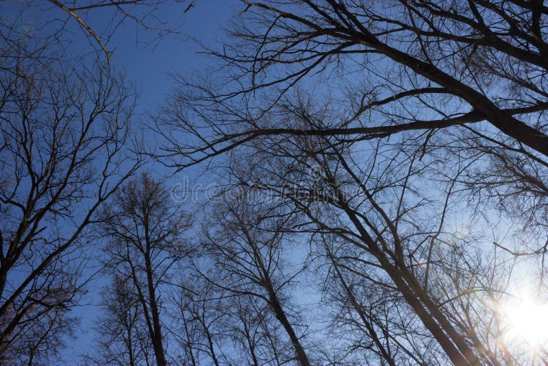 Scary night sky stock image. Image of distant, night - 118684471