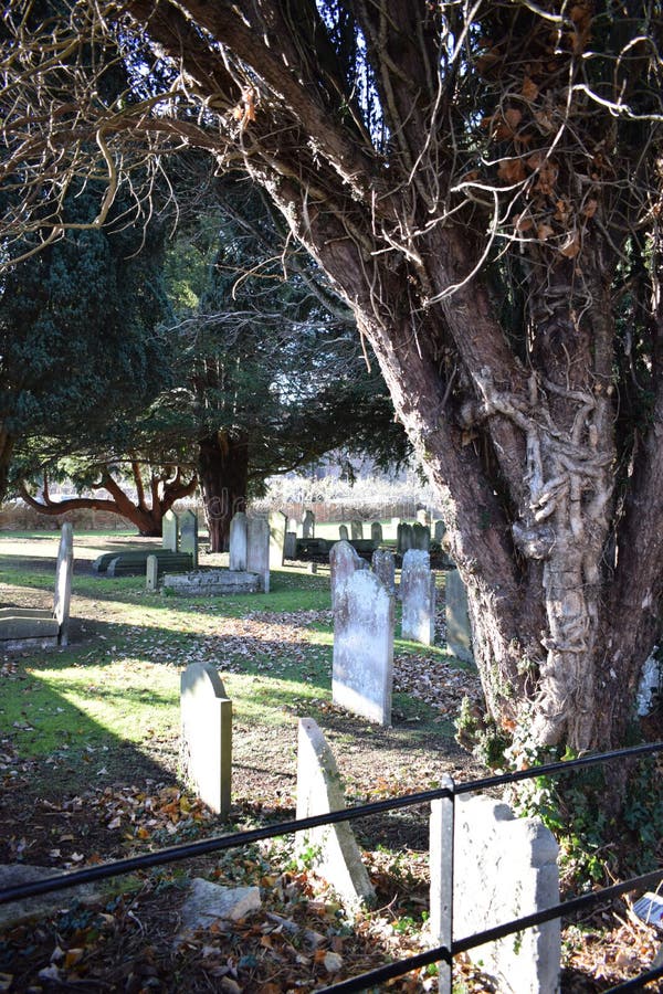 Scary Old Cemetery in London Stock Photo - Image of cemetery ...