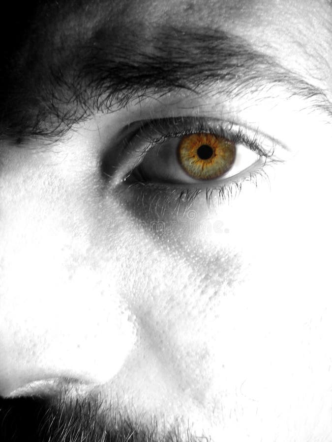 Scary portrait stock photo. Image of grey, face, glare - 1969494