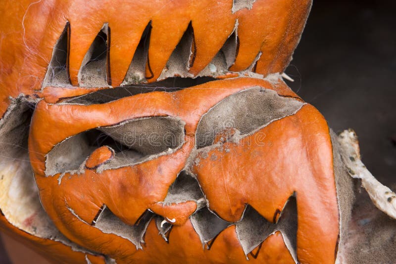 Mold Oozing Stock Photos - Free & Royalty-Free Stock Photos from Dreamstime