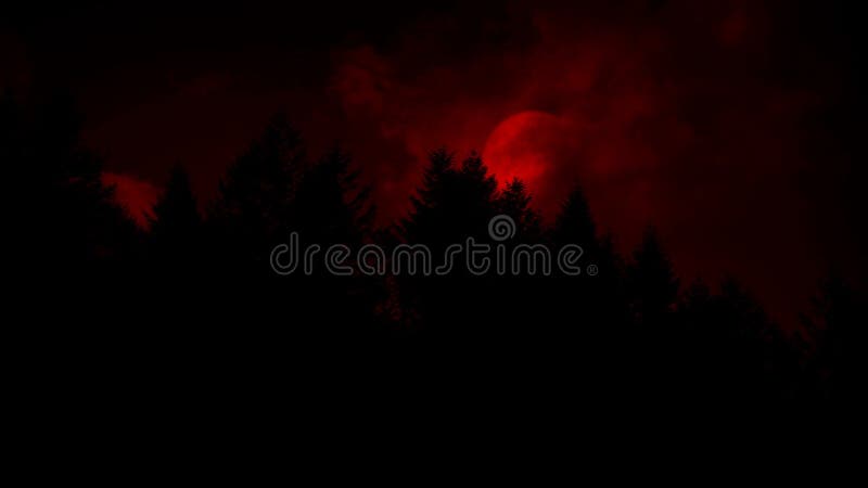 Scary Red Moon Revealed Above the Forest Stock Video - Video of moon ...