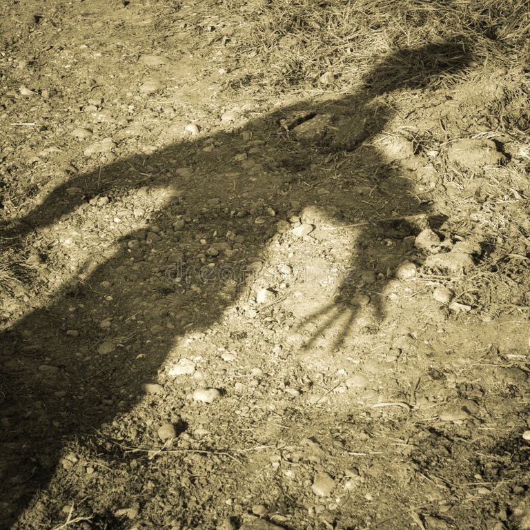 27,371 Scary Shadow Stock Photos - Free & Royalty-Free Stock Photos ...