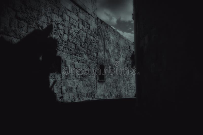 Scary shadows on the Wall stock photo. Image of pavement - 162749624