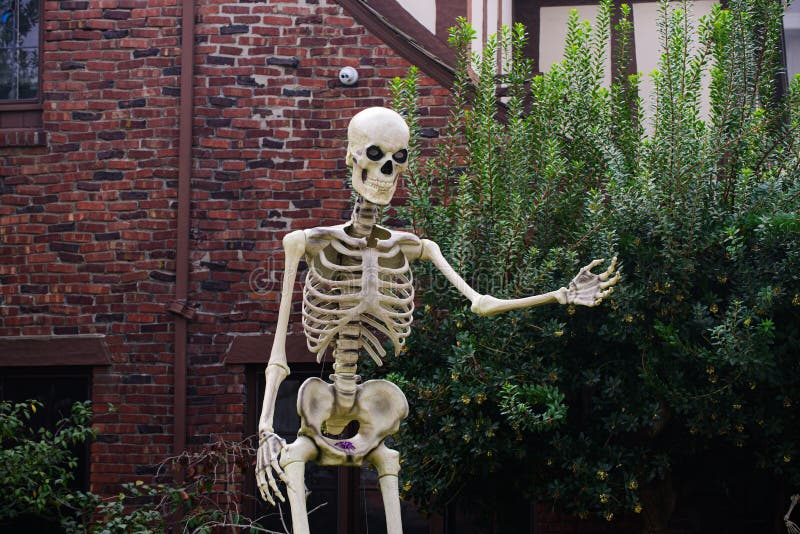 Scary Skeleton Bone in Halloween. Stock Photo - Image of halloween ...