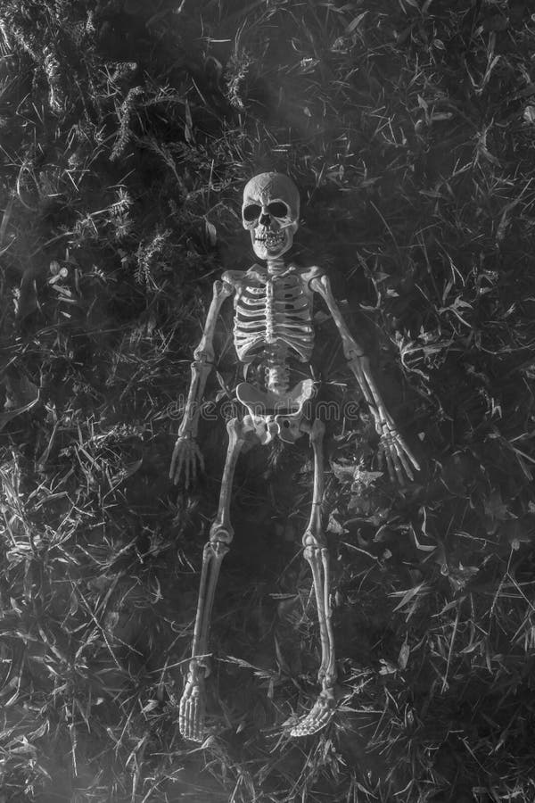 Skeleton Hands Reaching Forward Stock Photo - Image of dark, white ...