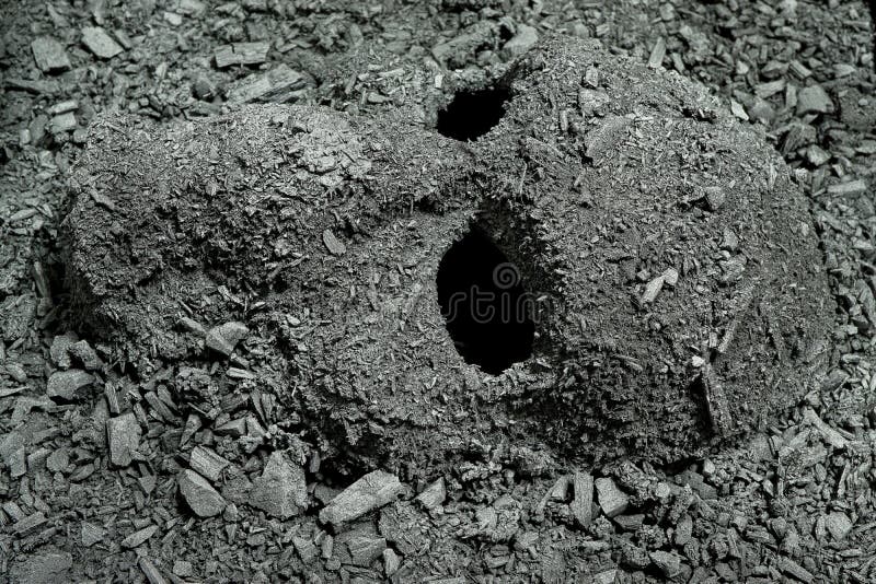 Scary Skeleton Mask Handmade Covered in Charcoal Creating Unique ...