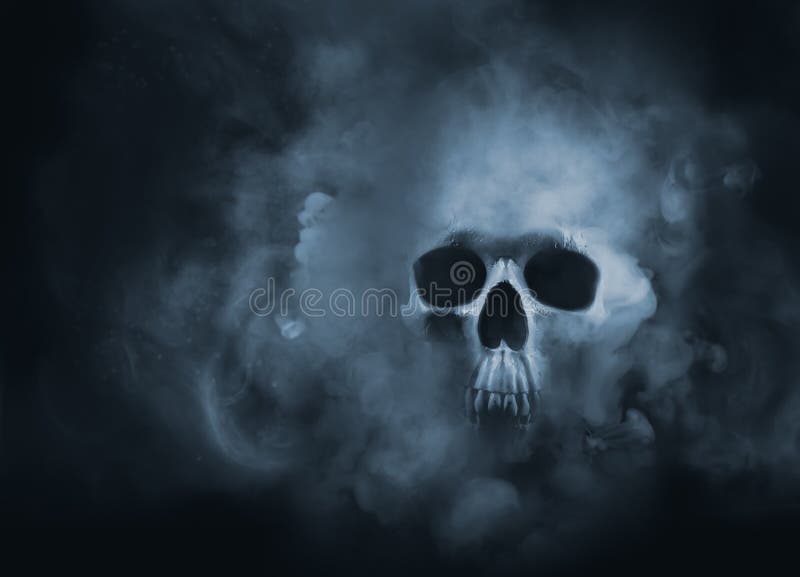 90,951 Skull Photos - Free & Royalty-Free Stock Photos from Dreamstime