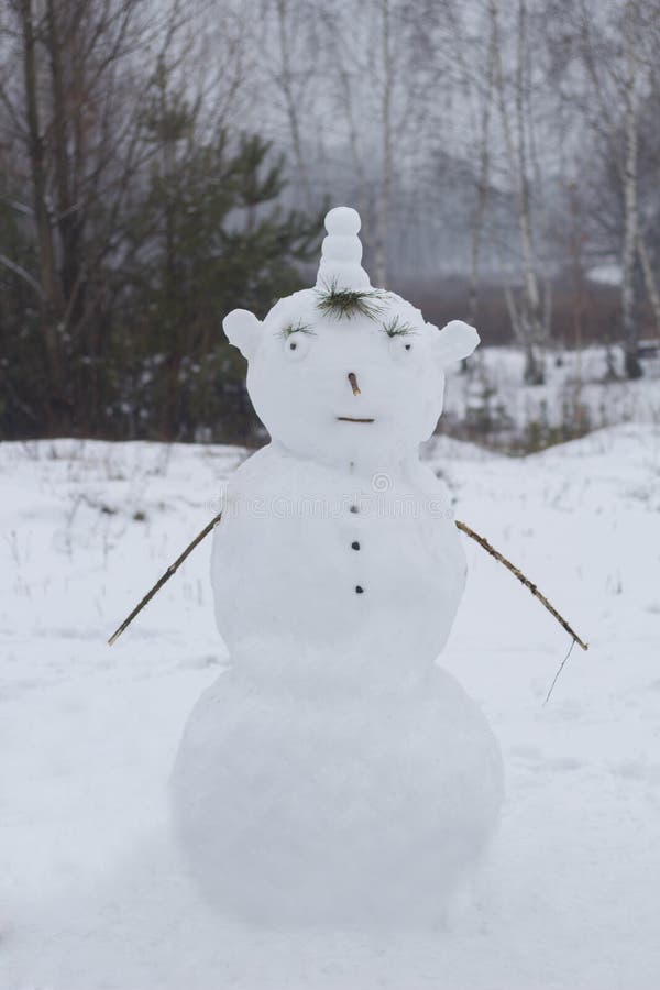 Scary Snowman in the Winter Forest Close Up Stock Image - Image of ...