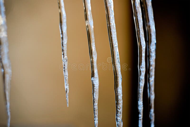 25,653 Wind Transparent Stock Photos - Free & Royalty-Free Stock Photos ...