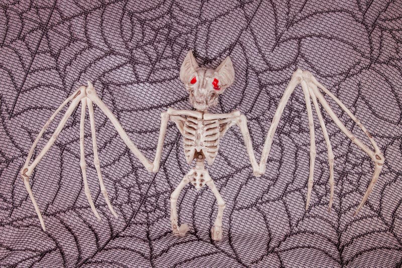 Scary Vampire Bat Skelet on Cobweb Background Stock Afbeelding - Image ...