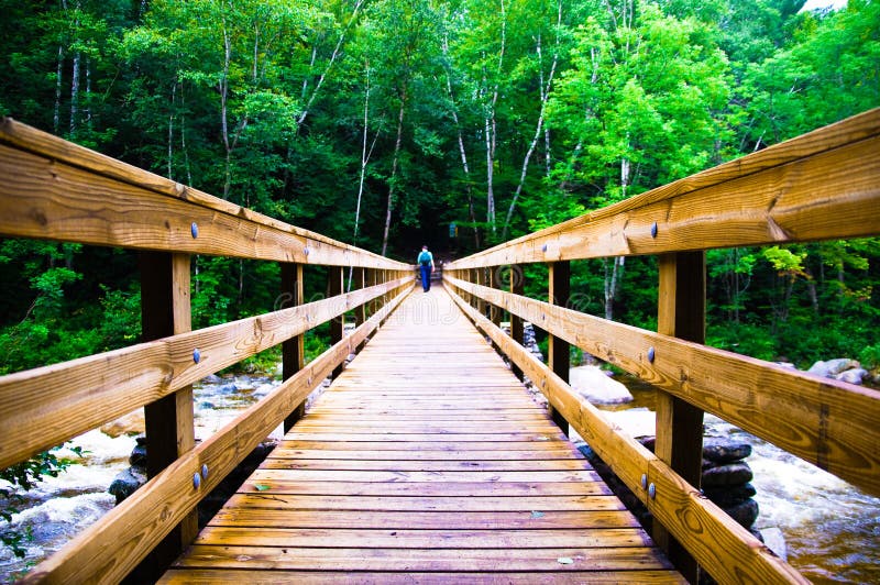 Scary Wooden Bridge Crossing Stock Image - Image of obstacle ...