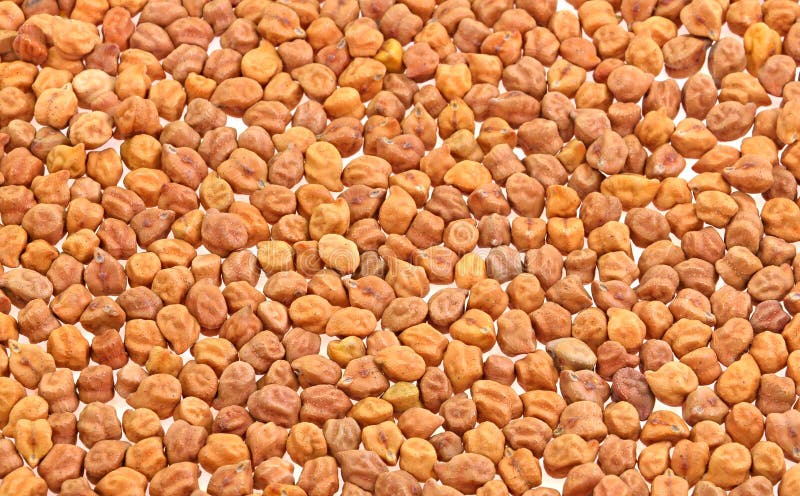 Scattered bengal grams stock photo. Image of black, brown - 35623754