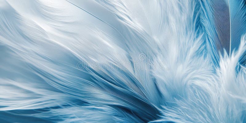 Scattered Blue Feathers: a Close-up View of Numerous Blue Feathers ...