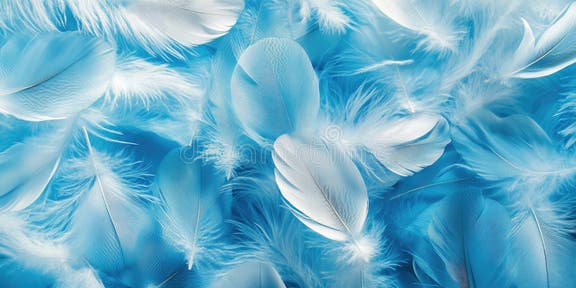 Scattered Blue Feathers: a Close-up View of Numerous Blue Feathers ...