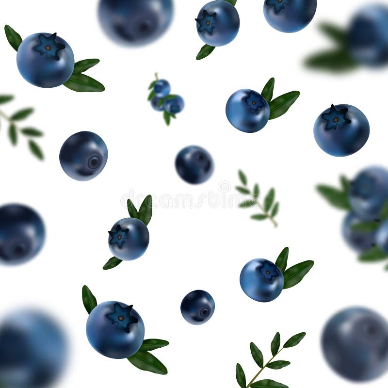 Scattered Blueberries with Leaves Vector Stock Illustration ...