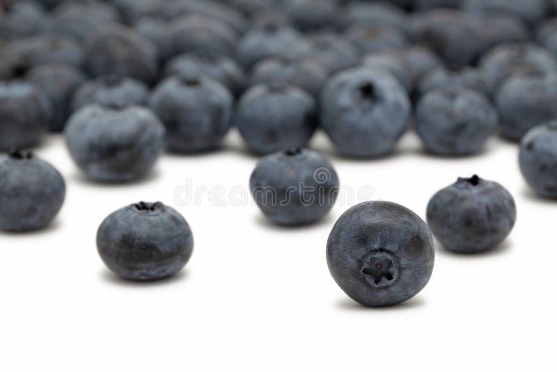 Scattered Blueberry on White Background Stock Image - Image of harvest ...