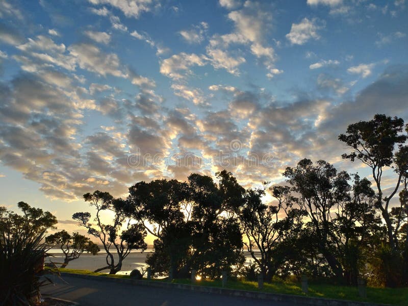 Candy Floss Clouds, Sunset at the Beach, Trees Silhouttes, Auckland ...