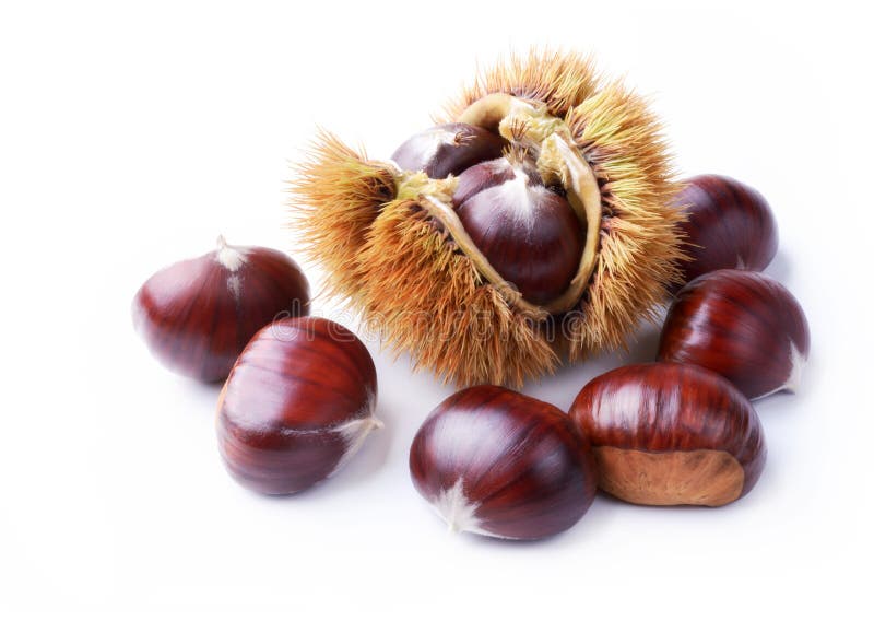Scattered Chestnuts and Inside the Thorny Shell Isolated on White ...