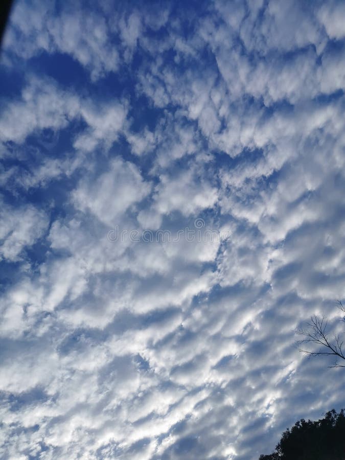 Scattered Cloud Horizon stock image. Image of reflection - 266324085