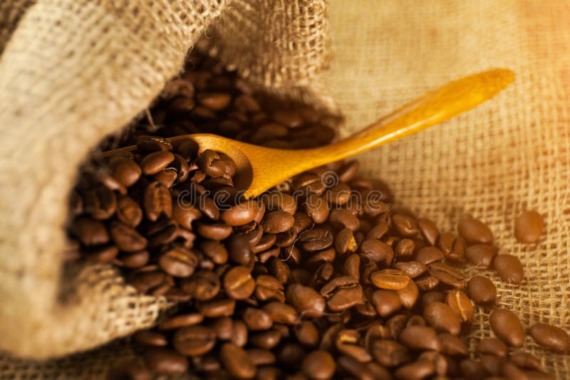 Scattered Coffee Beans Spilling from a Burlap Bag and a Scoop Stock ...