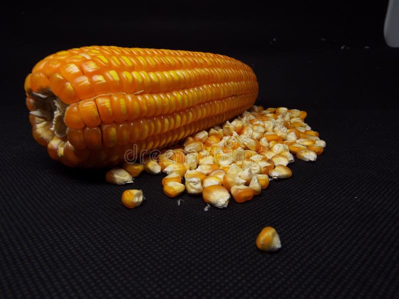 Scattered Corn Kernels and Grains Stock Image - Image of baking, food ...