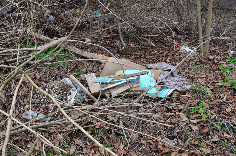 Natural landfill stock image. Image of branch, landfill - 360678261