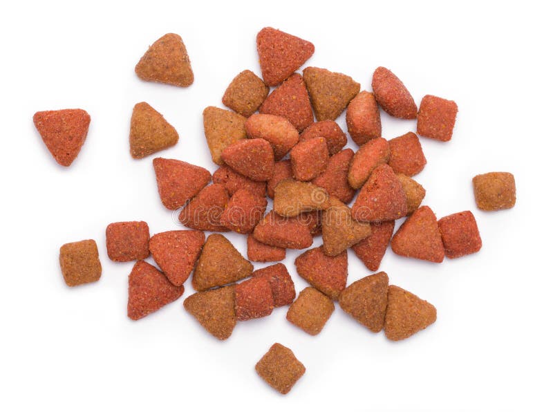 Scattered Dog Food stock photo. Image of snack, white - 185219312