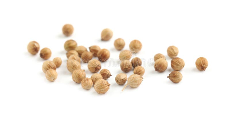 Scattered Dried Coriander Seeds on White Background Stock Photo - Image ...