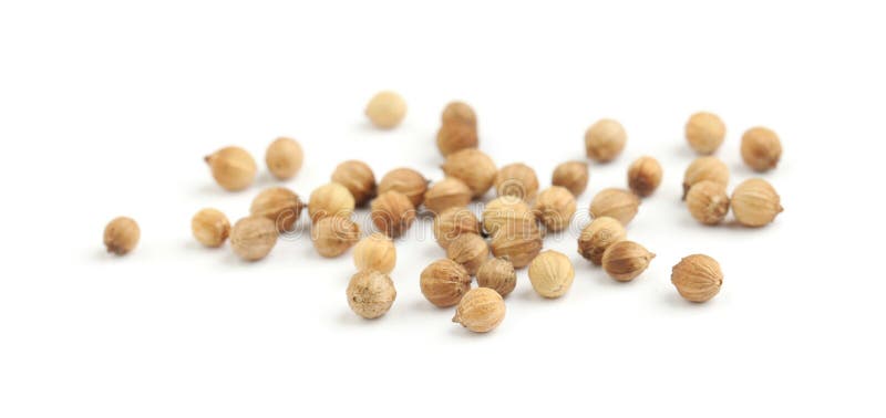 Scattered Dried Coriander Seeds on White Background Stock Image - Image ...