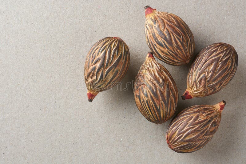 Scattered Fox Tail Palm Seeds on Textured Surface Stock Photo - Image ...