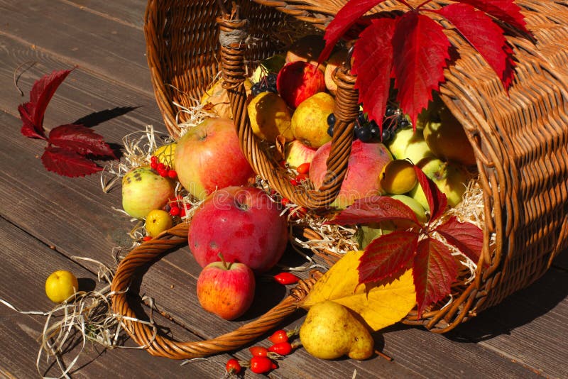 Scattered fruits stock photo. Image of food, wicker, gardening - 60590098