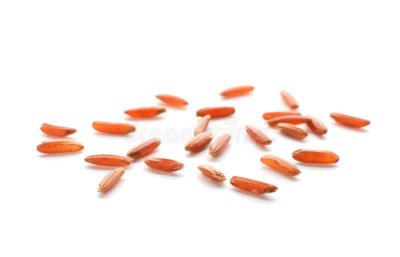 Scattered Grains of Brown Rice on White Background Stock Photo - Image ...