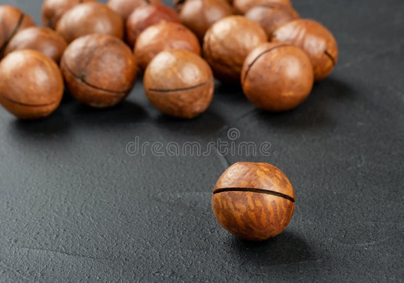 Scattered macadamia nuts stock photo. Image of close - 198358920
