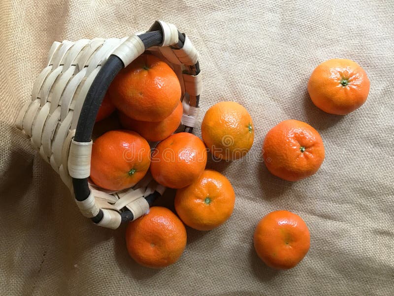 Scattered Mandarins from a Fallen Basket. Stock Photo - Image of colour ...