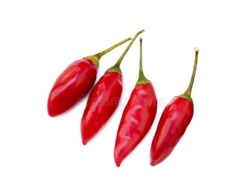 Scattered pepper isolated stock photo. Image of cayenne - 159548008