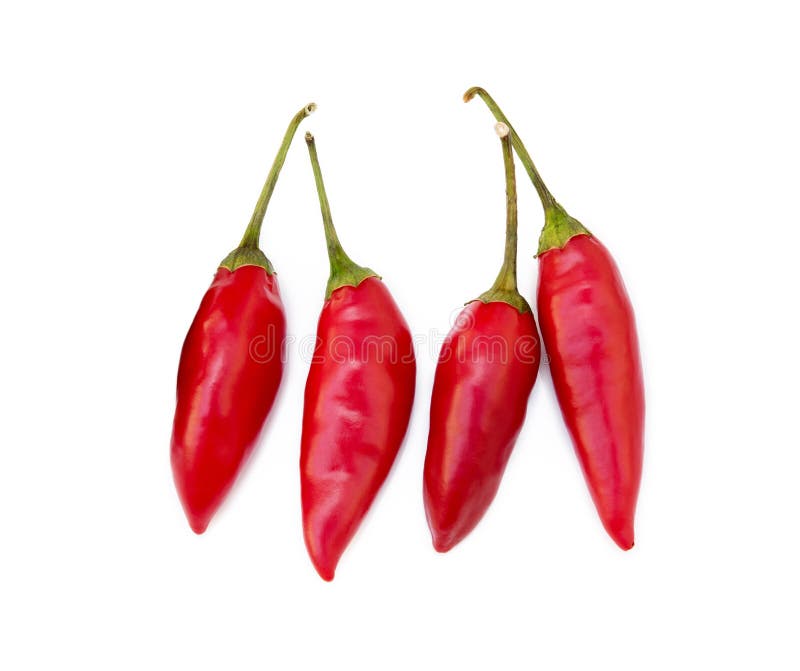 Scattered pepper isolated stock photo. Image of kitchen - 159548022