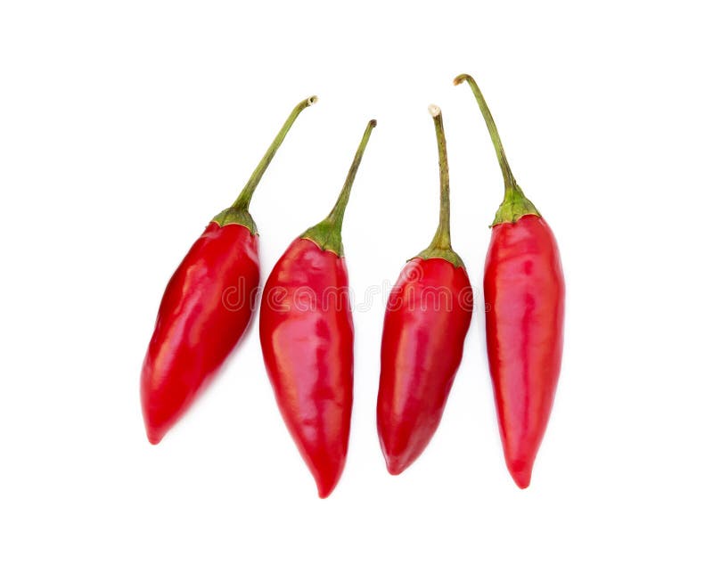 Scattered pepper isolated stock image. Image of herb - 157600449
