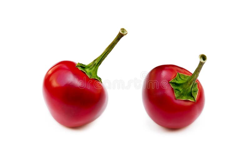 Scattered pepper isolated stock photo. Image of isolated - 157754618